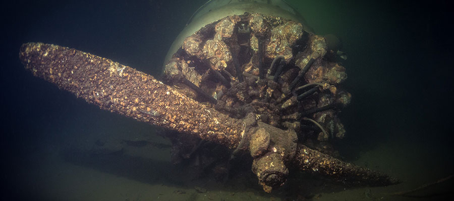 Diving the Valiant SNV-2 | Pacific Northwest Diving